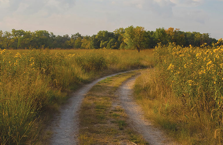 Forest Preserves of Cook County - Town Square Publications