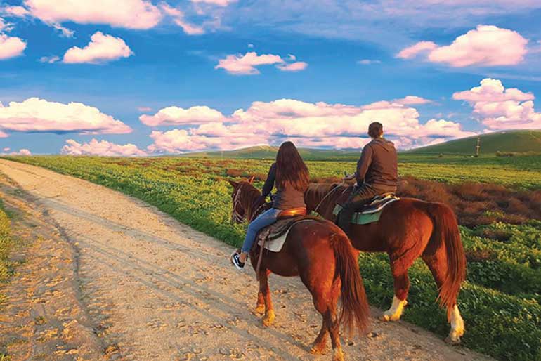 Things to Do in Norco CA (2020) Events - Town Square Publications