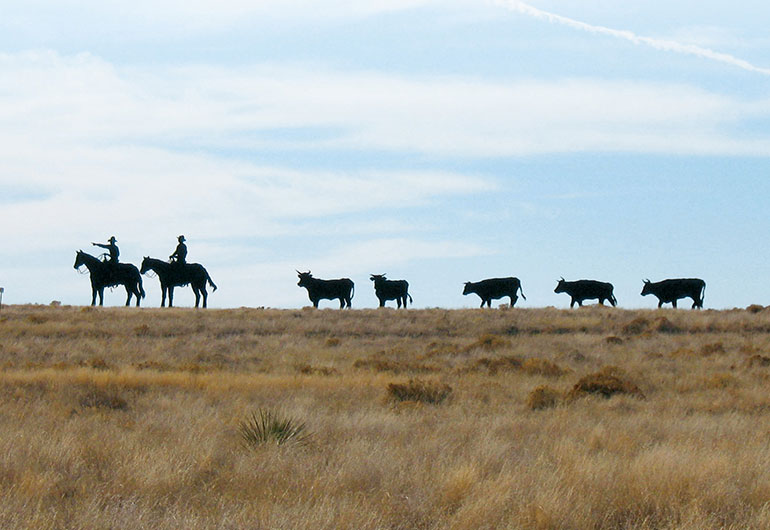City of Hobbs, Communities of Lea County NM - Town Square Publications