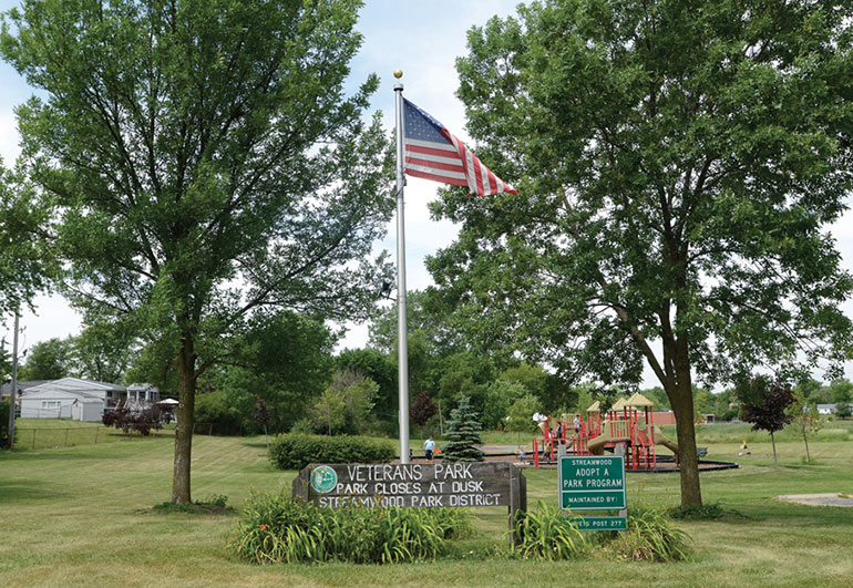 Streamwood IL Chamber Overview - Town Square Publications