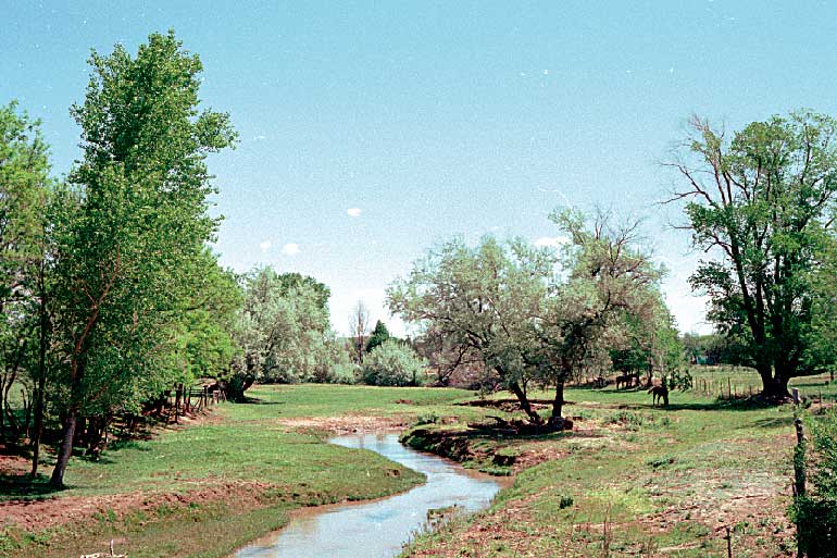 Where is Snowflake & Taylor, Arizona - Town Square Publications